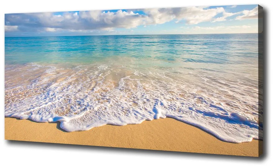 Wallmuralia Foto obraz na plátně Havajská pláž 100x50