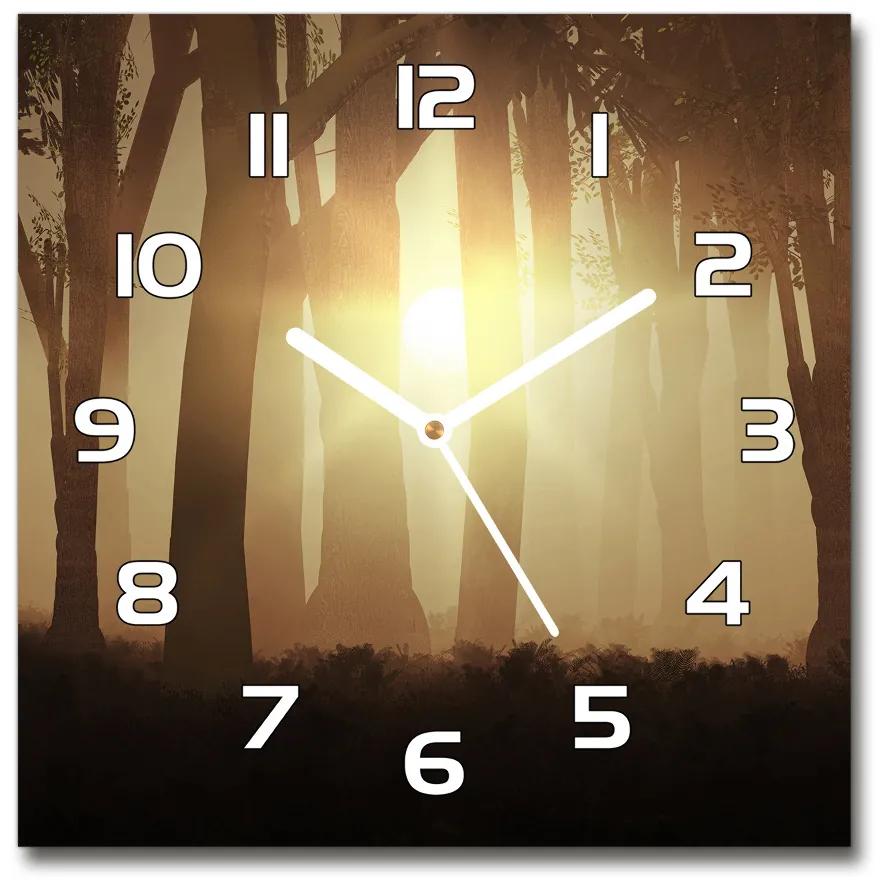 Wallmuralia Skleněné hodiny čtverec Mlha v lese 30x30 cm
