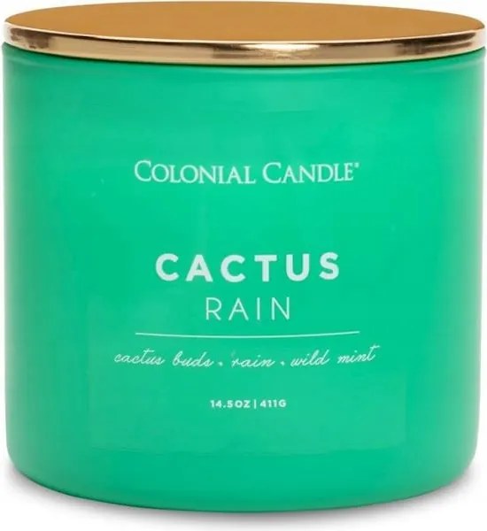 Vonná svíčka Pop Of Color Cactus Rain 411 g