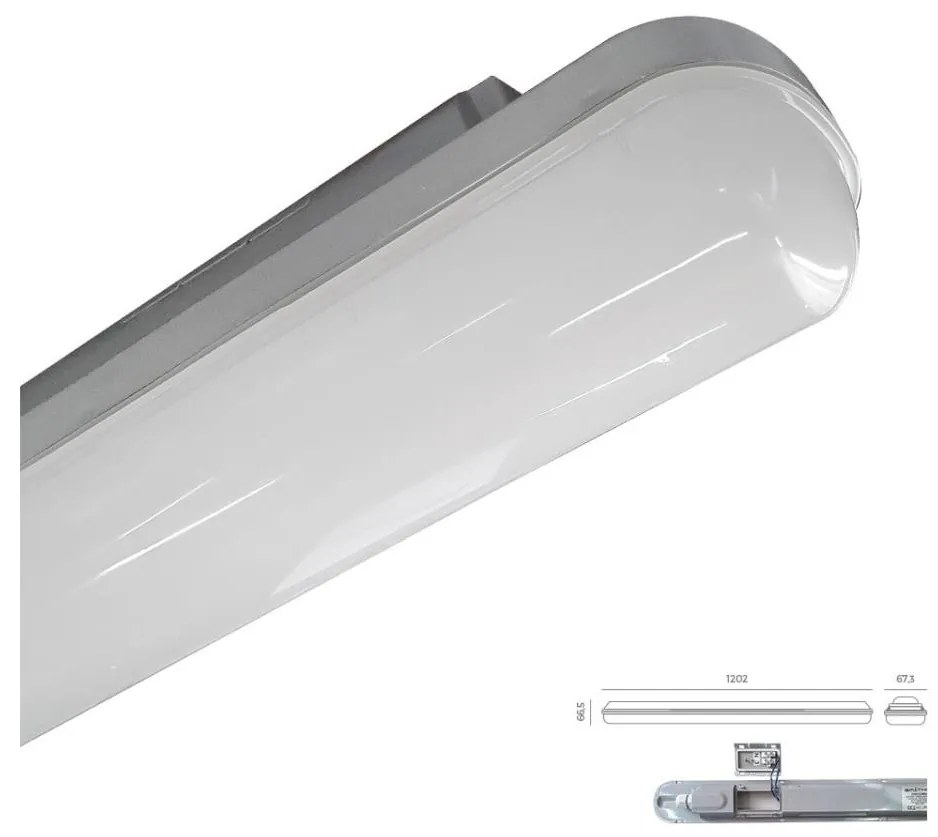 Emithor 31602 - LED Technické svítidlo ELMINA LED/36W/230V IP65