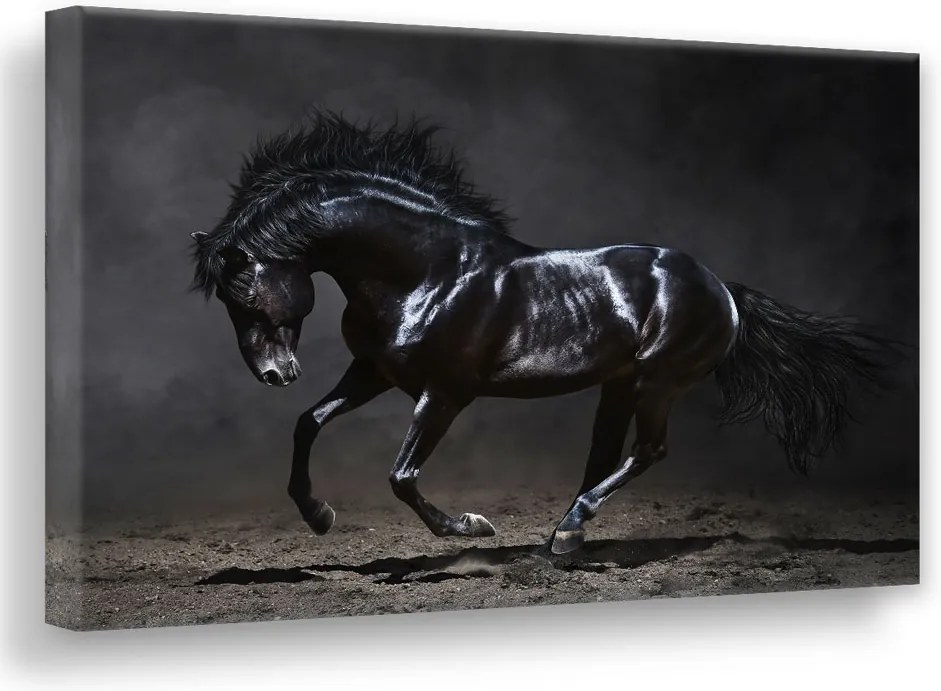 Styler Metalický obraz na plátně - Black horse 113x85 cm