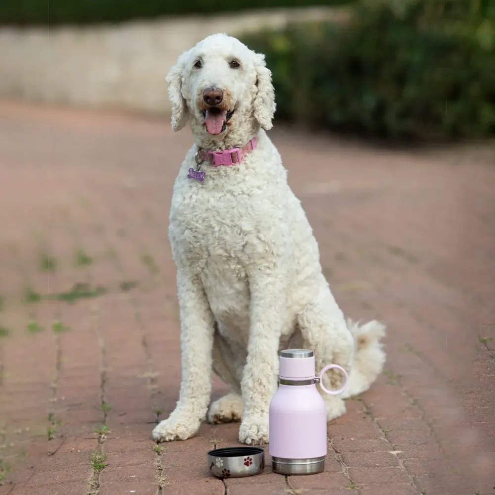 Nerezová termoska na vodu s psí miskou Asobu Růžová 975ml