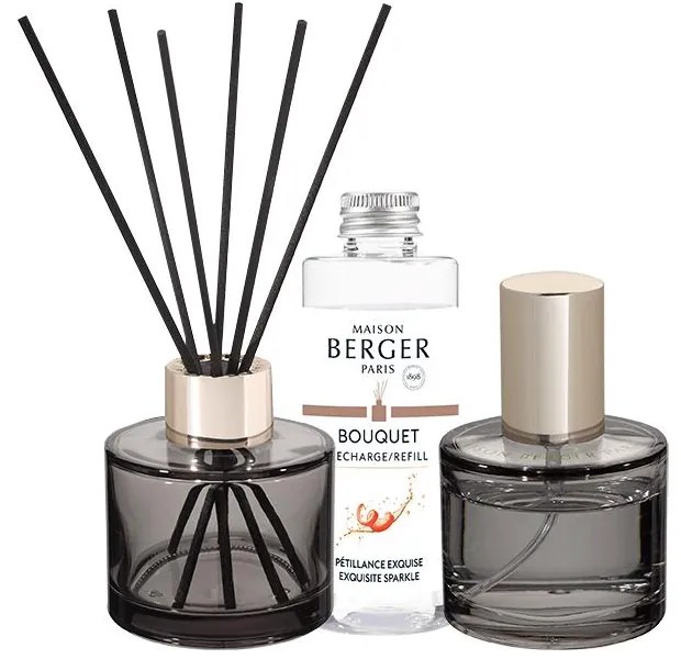 Maison Berger Paris Dárková sada Duo Mini: aroma difuzér Rosalie s náplní 90 ml + bytová vůně 50 ml, Intenzivní třpyt 7859