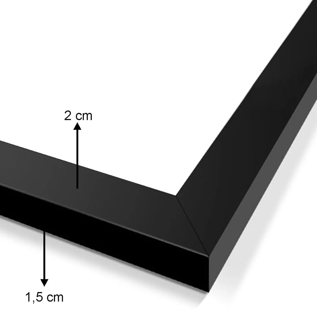 ASIR Sada nástěnných dekorativních obrazů KAPRADINY 34 cm