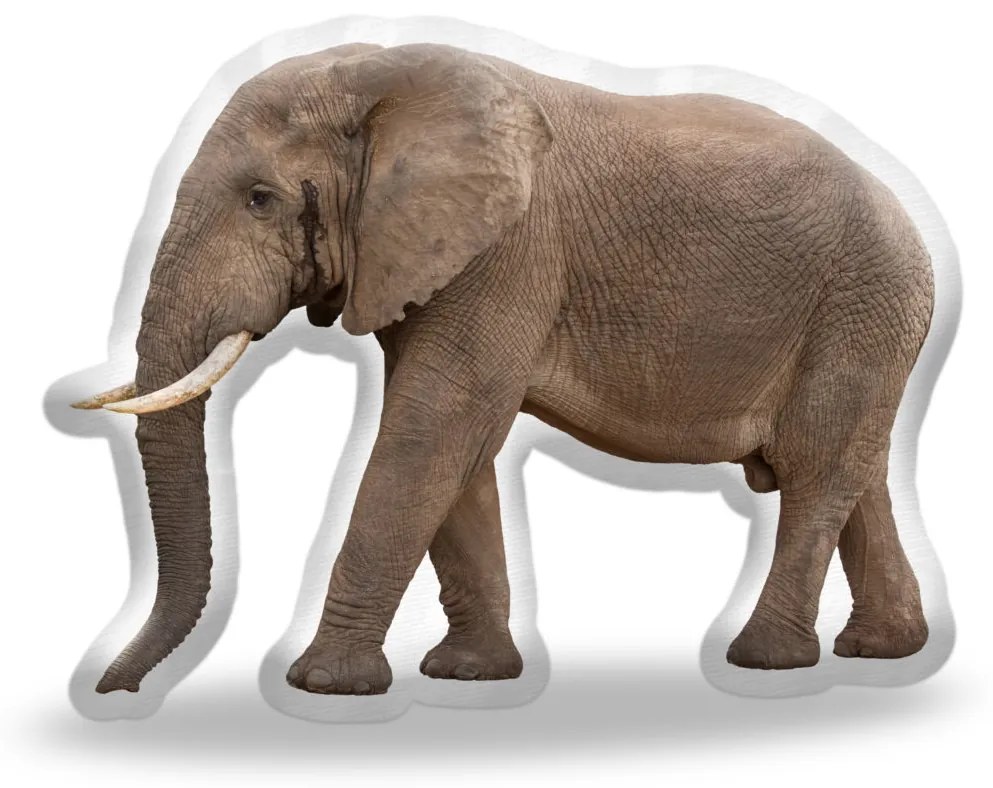 Polštářek 3D - Slon