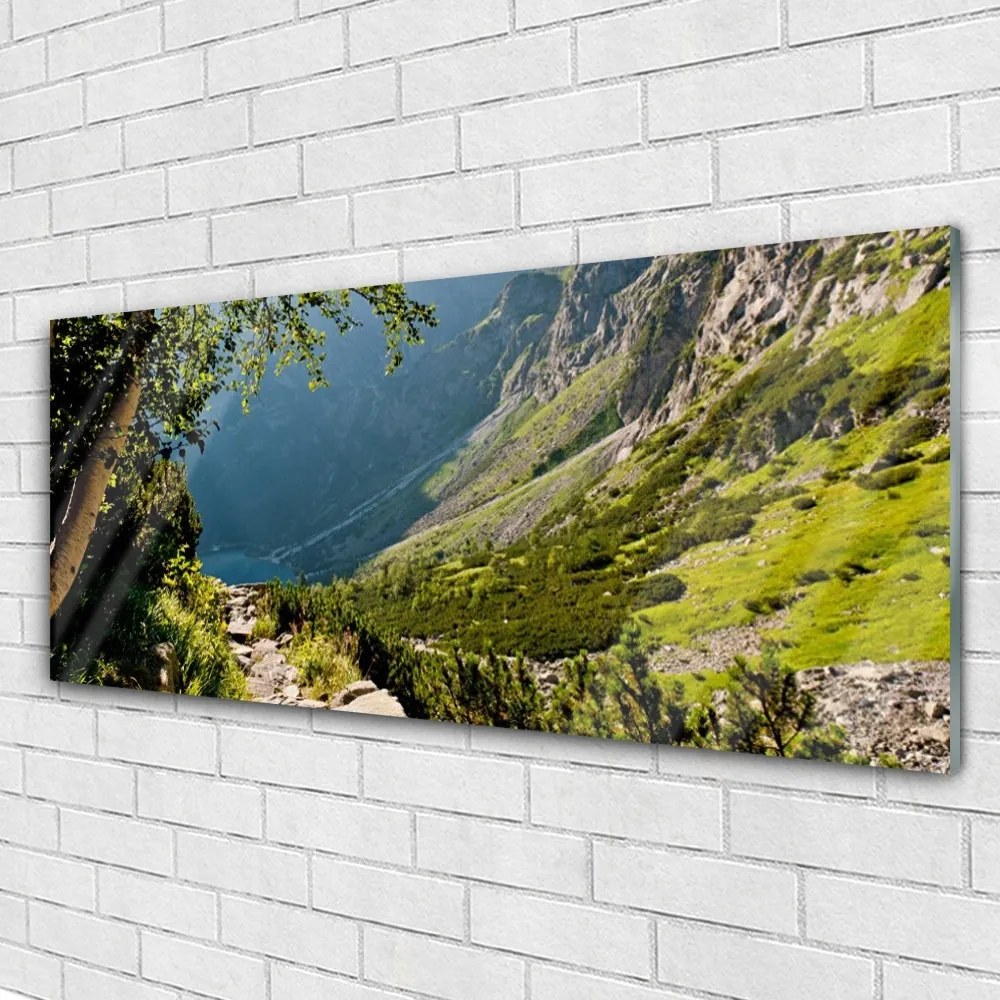 akrylový obraz Hora Les Příroda 125x50 cm
