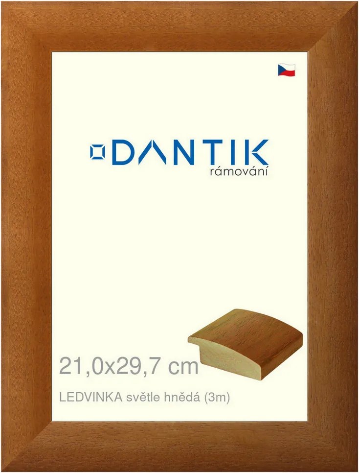 DANTIK rámeček 21x29,7 | LEDVINKA světle hnědá (Sklo Čiré)