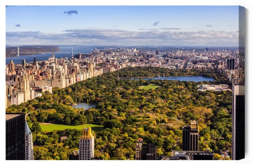 Obraz Letecký Pohled Na New York City Nedostatek Nedostatek Přírodní plátno 40x30
