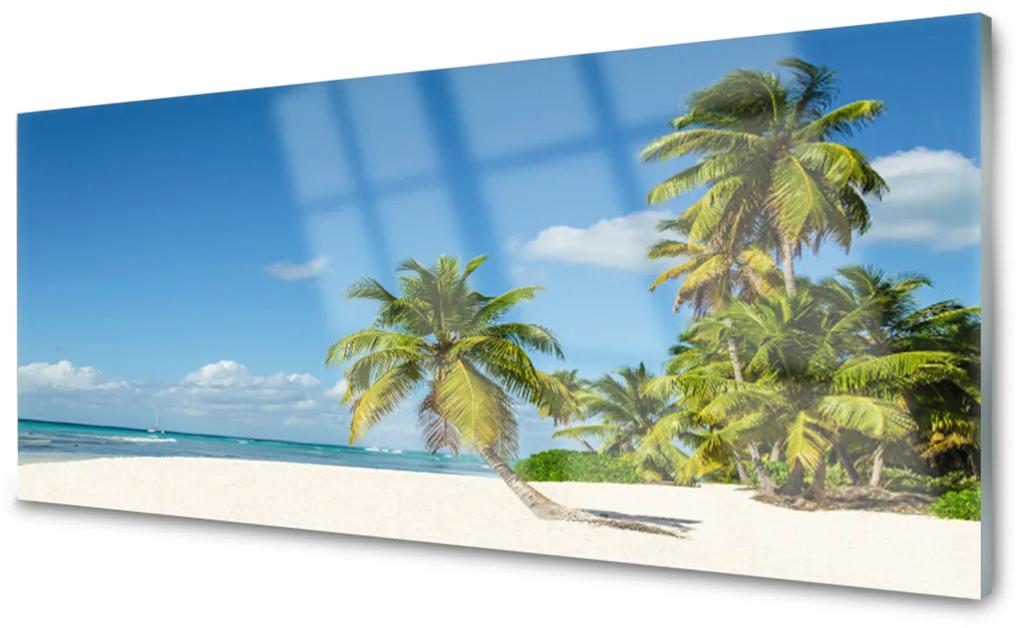 Skleněný obraz Pláž Palma Moře Krajina