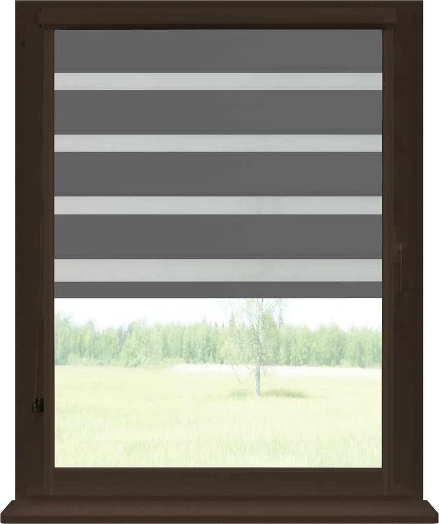 Dekodum Roleta den a noc v hnědé kazetě zatemňovací, barva látky Grafitová Šířka (cm): 110, Výška (cm): Standardní (do 150 cm), Strana mechanismu: Práva