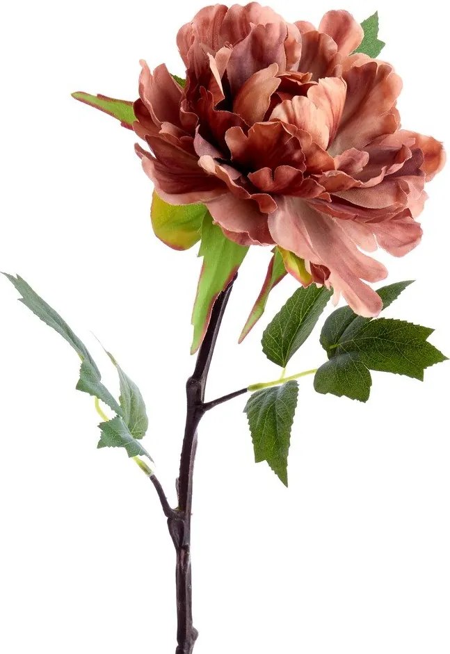 Umělá květina (výška 65 cm) Peonia – Light & Living