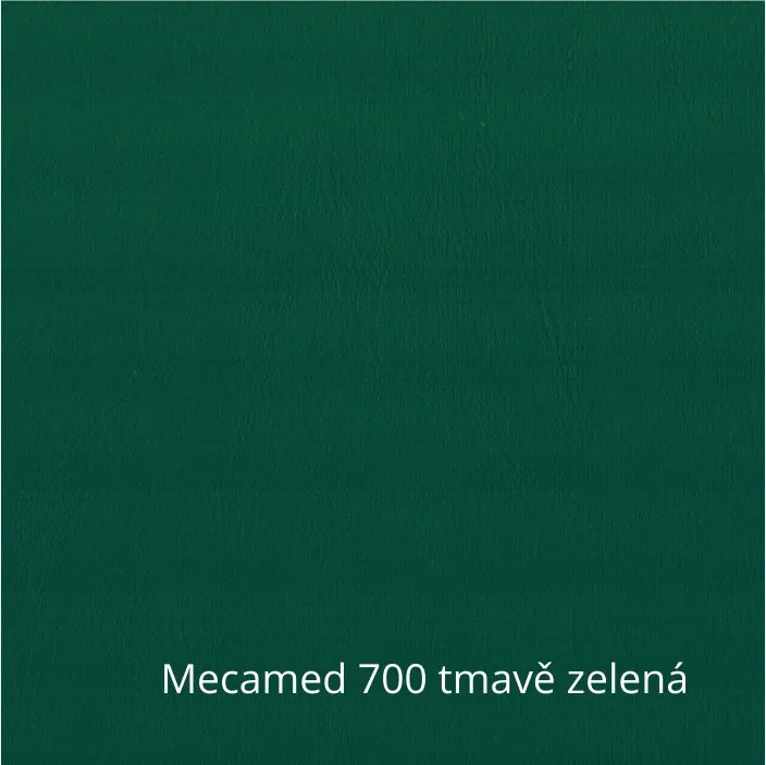 SEGO CZ Zdravotní židle SEGO Stand A koženka Barva: 700 Tmavě zelená