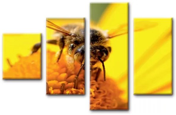 4-dílný obraz - Včela na květu