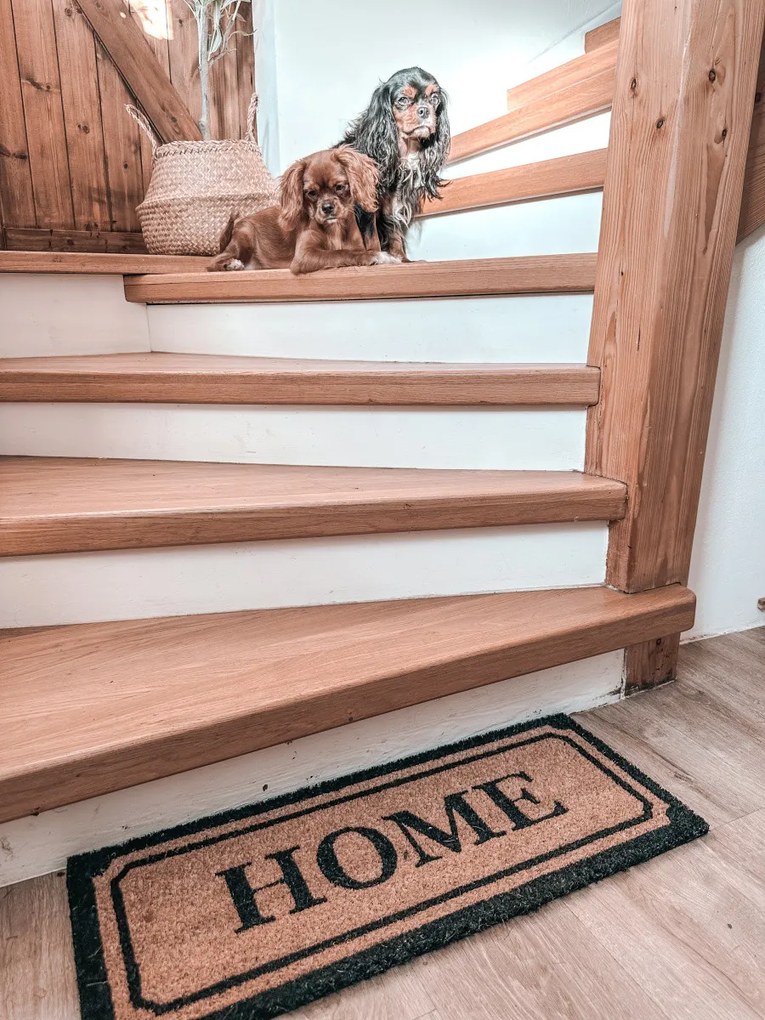 Hanse Home, Rohožka Home kokos 105678 - na ven i na doma, 27x70, hnědá, chodba / předsíň