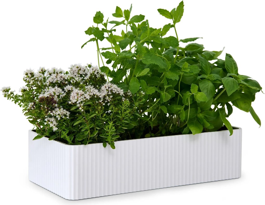 Tchibo - Úložný box