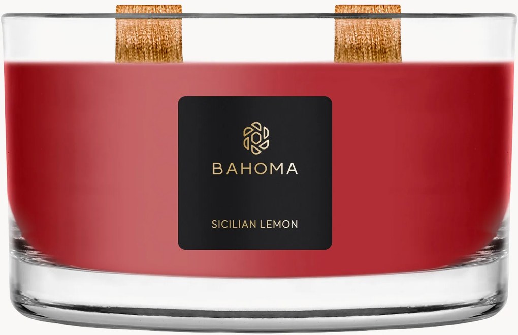 Ručně vyrobená vonná svíčka se dvěma knoty Spirit of Christmas (cassis, hřebíček a ambra)