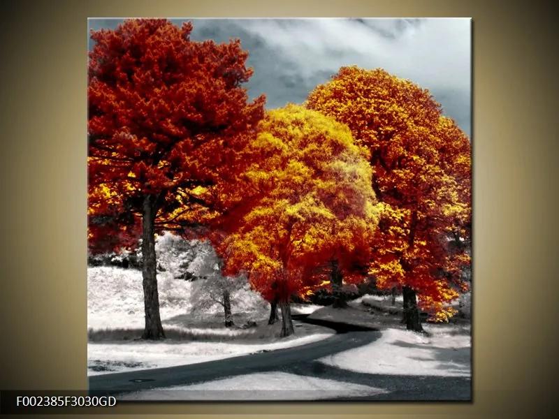 Obraz tří oranžově zbarvených stromů (), 40 dalších rozměrů