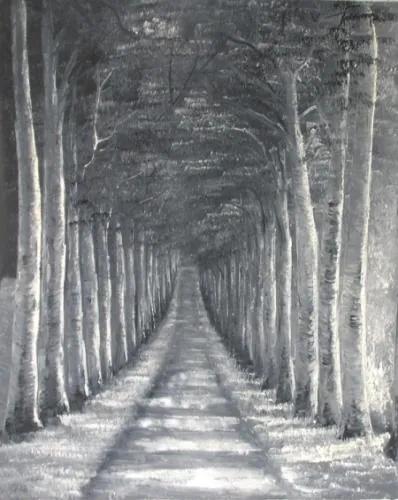 Stromořadí - 50 x 60 cm