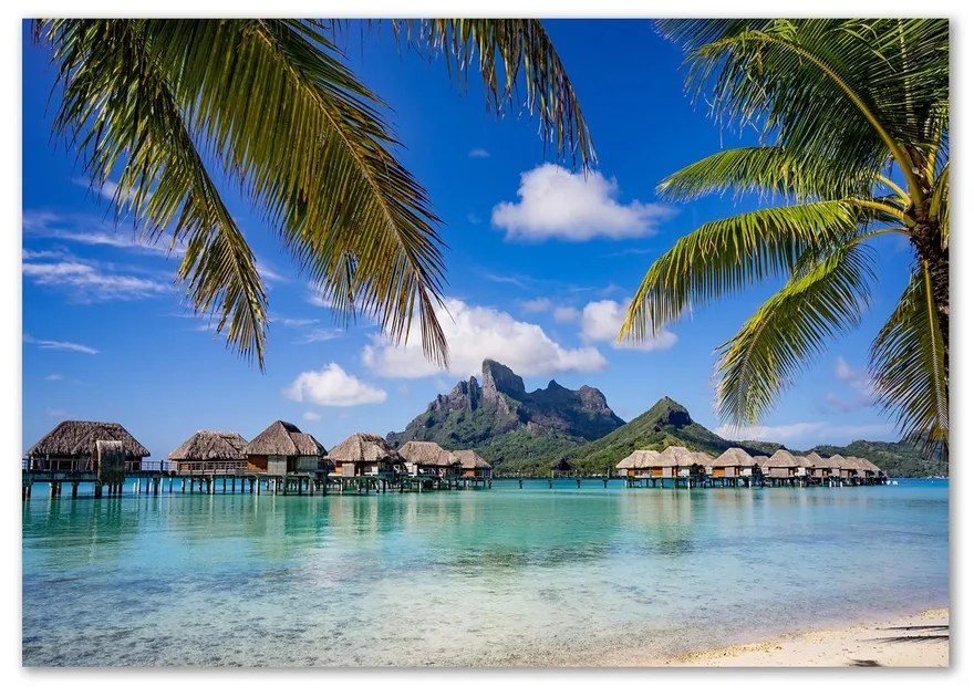 Wallmuralia Foto obraz sklo tvrzené Palmy na Bora Bora 100x70 cm