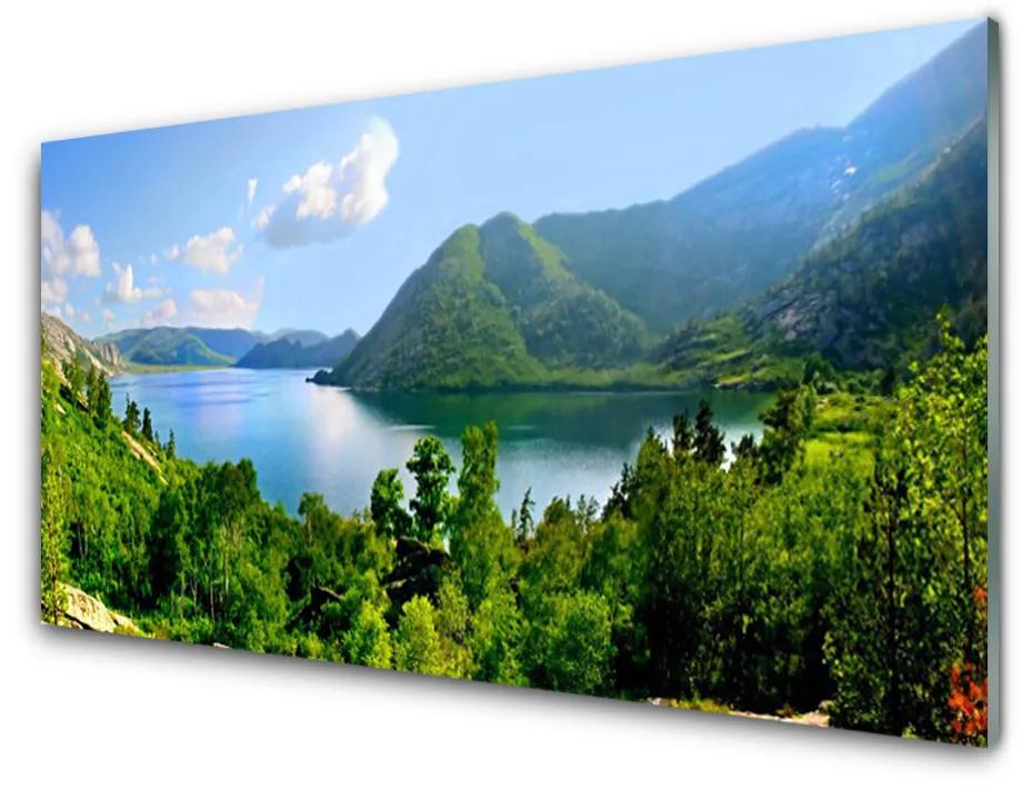 Obraz na skle Les Jezero Hory Krajina 140x70 cm