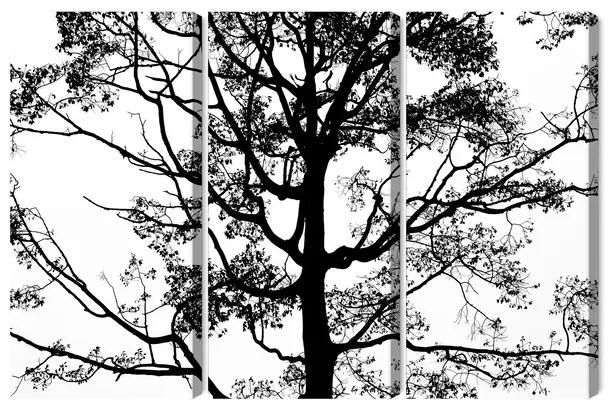 Vícedílný obraz Černý Strom Na Bílém Pozadí Nedostatek Nedostatek Přírodní plátno 150x100