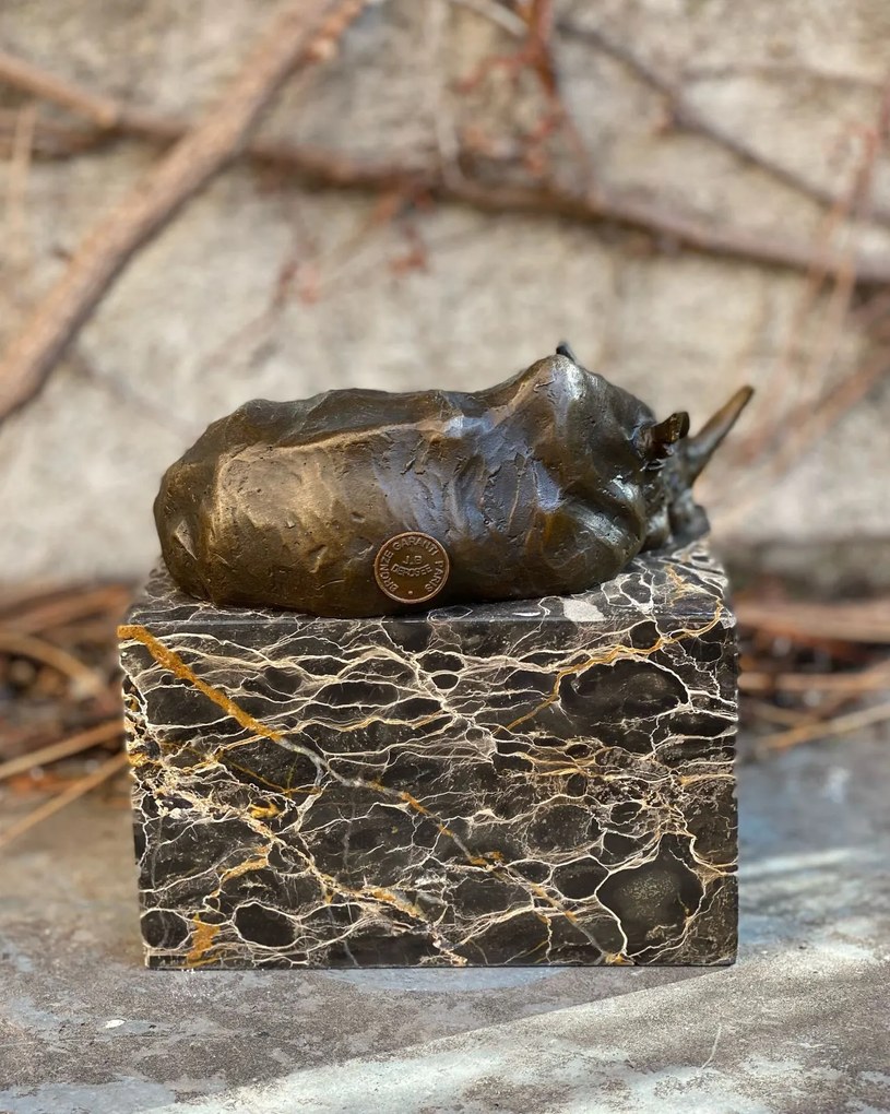 Bronzová socha - NOSOROŽEC