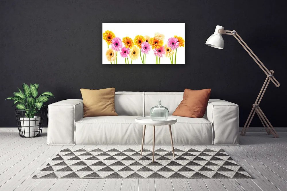Obraz na plátně Barevné Květiny Gerbery 125x50 cm