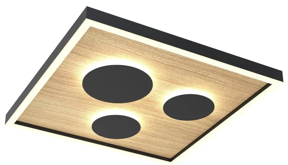Wofi 9012-306S - LED Stmívatelné stropní svítidlo DIJON LED/26W/230V 9012-306S