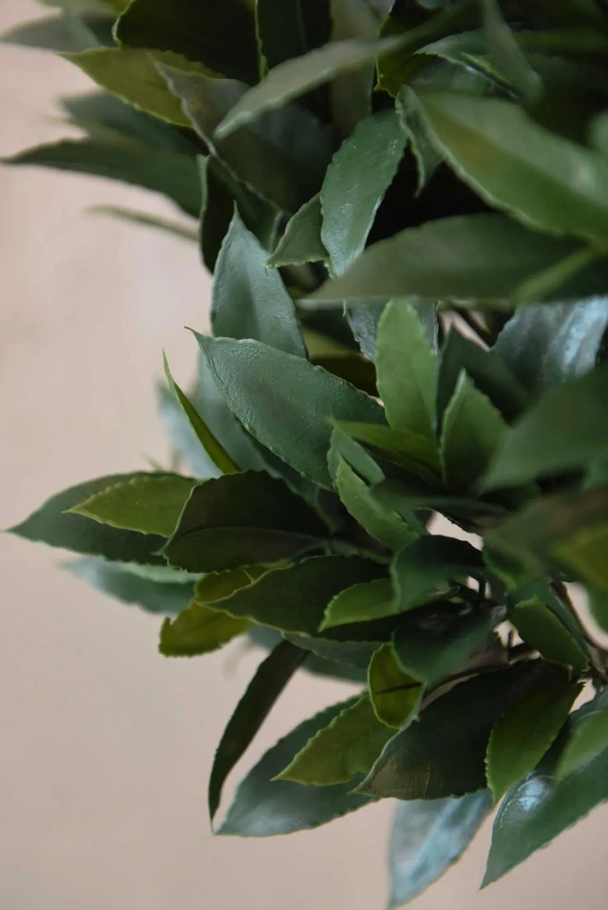 Umělý vavřín LAURUS, plast, výška 90 cm, zelená