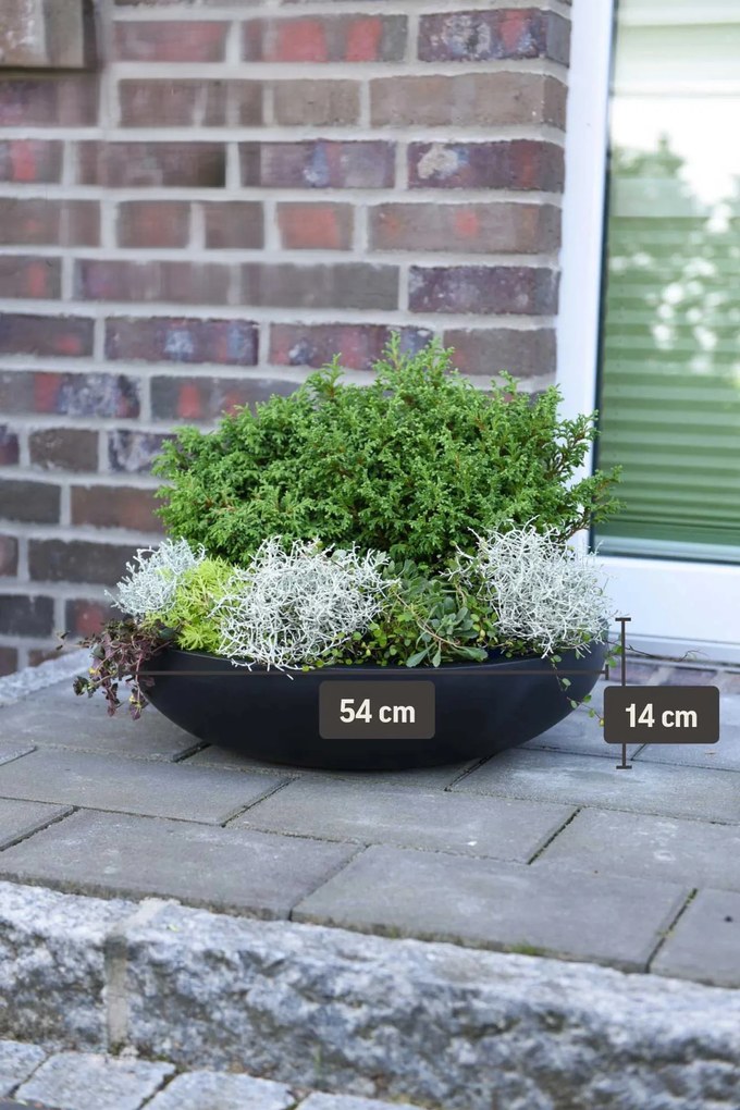 Okrasná miska PLANA, sklolaminát, 14xØ54 cm, antracit