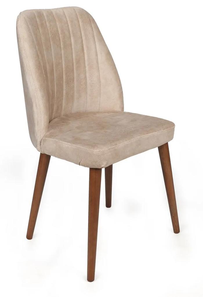 Hanah Home Sada židlí (4 kusy) Alfa-464 V4, Krémová, Ořech