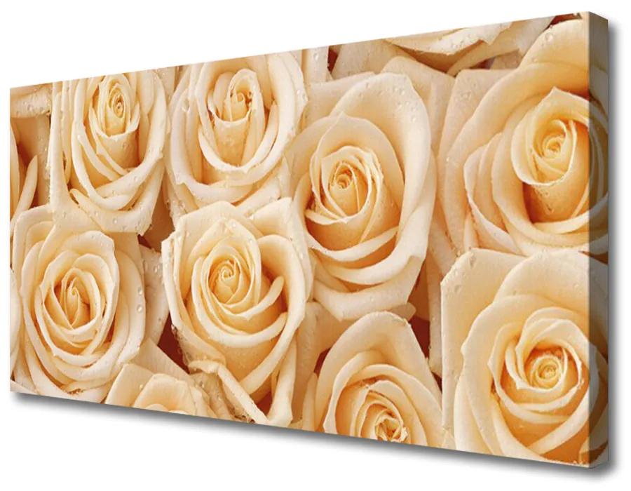 Obraz na plátně Růže Květiny Rostlina 100x50cm