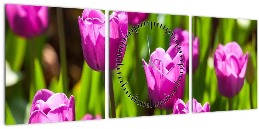 Obraz tulipánů na louce (s hodinami) (90x30 cm)