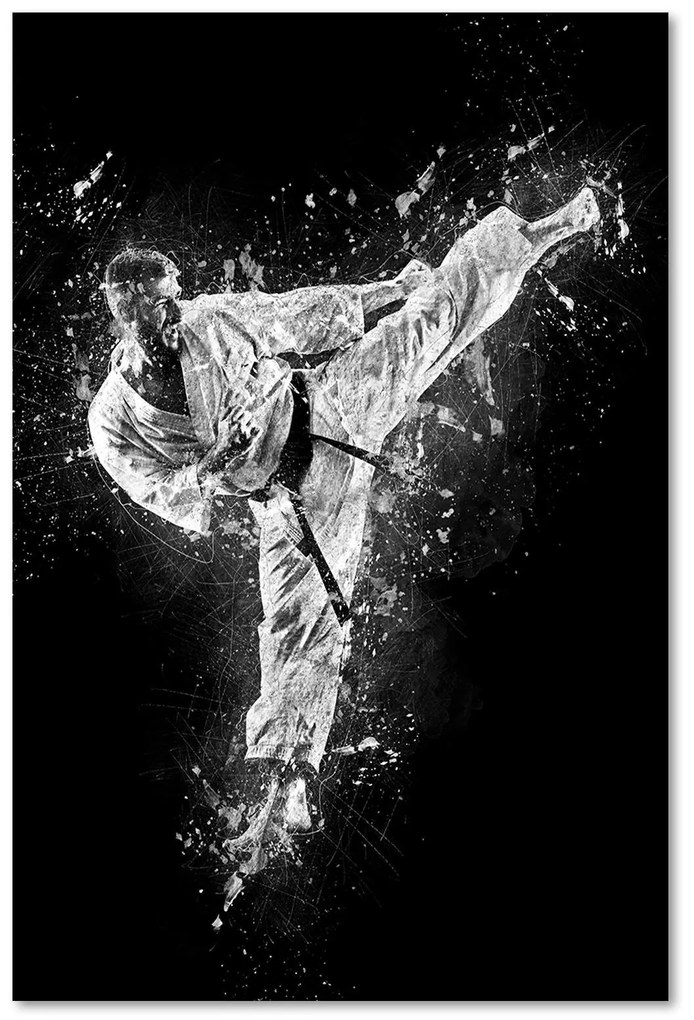 Gario Obraz na plátně Karate - Cornel Vlad Rozměry: 40 x 60 cm