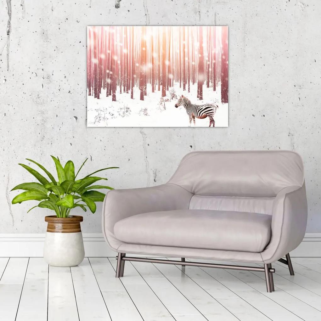 Skleněný obraz - Zebra v zasněženém lese (70x50 cm)