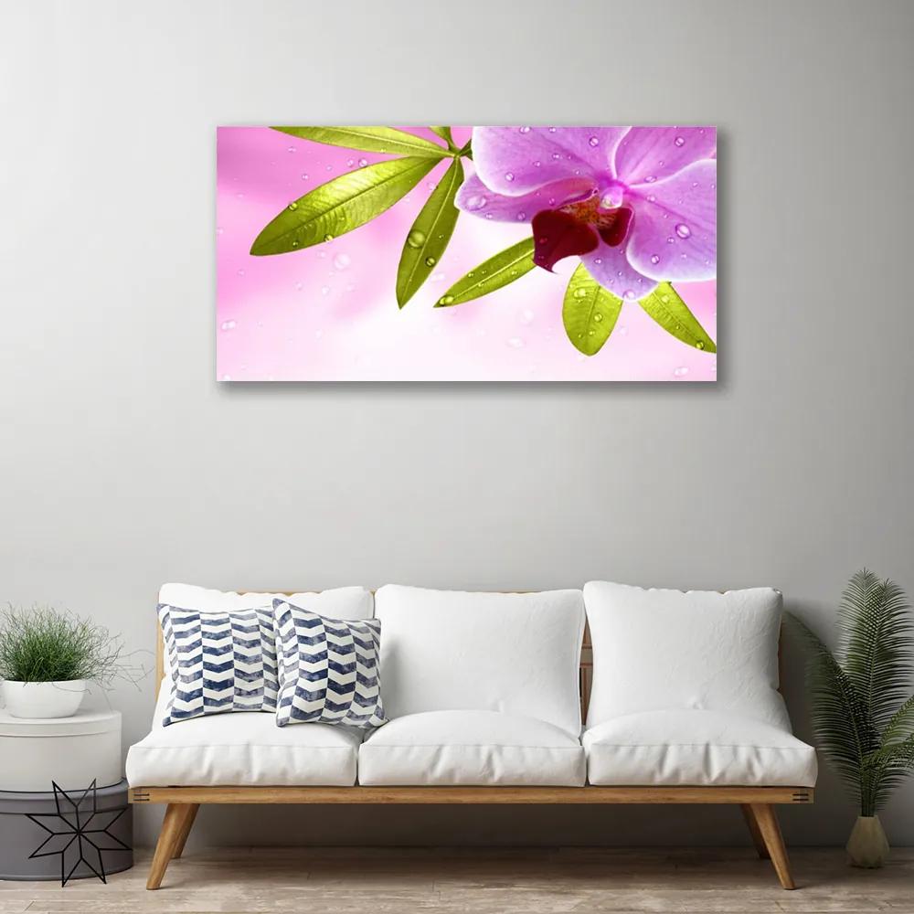 Obraz na plátně Květ Listy Rostlina 120x60 cm