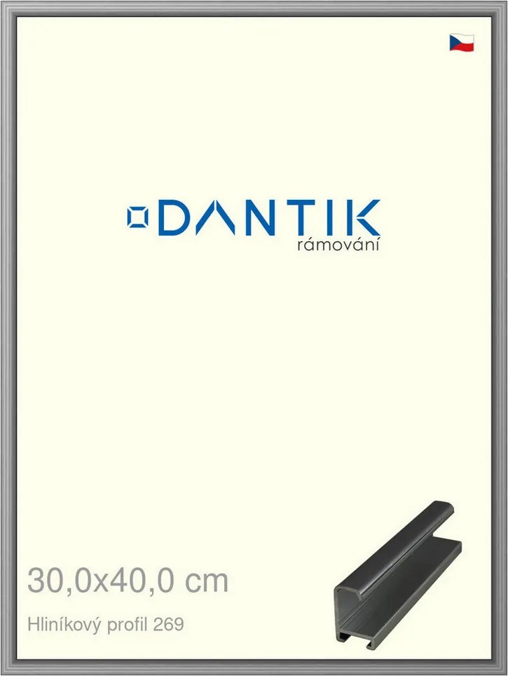 DANTIK rámeček 30x40 | ALU profil 7269 Šedá leská (Plexi Čiré)