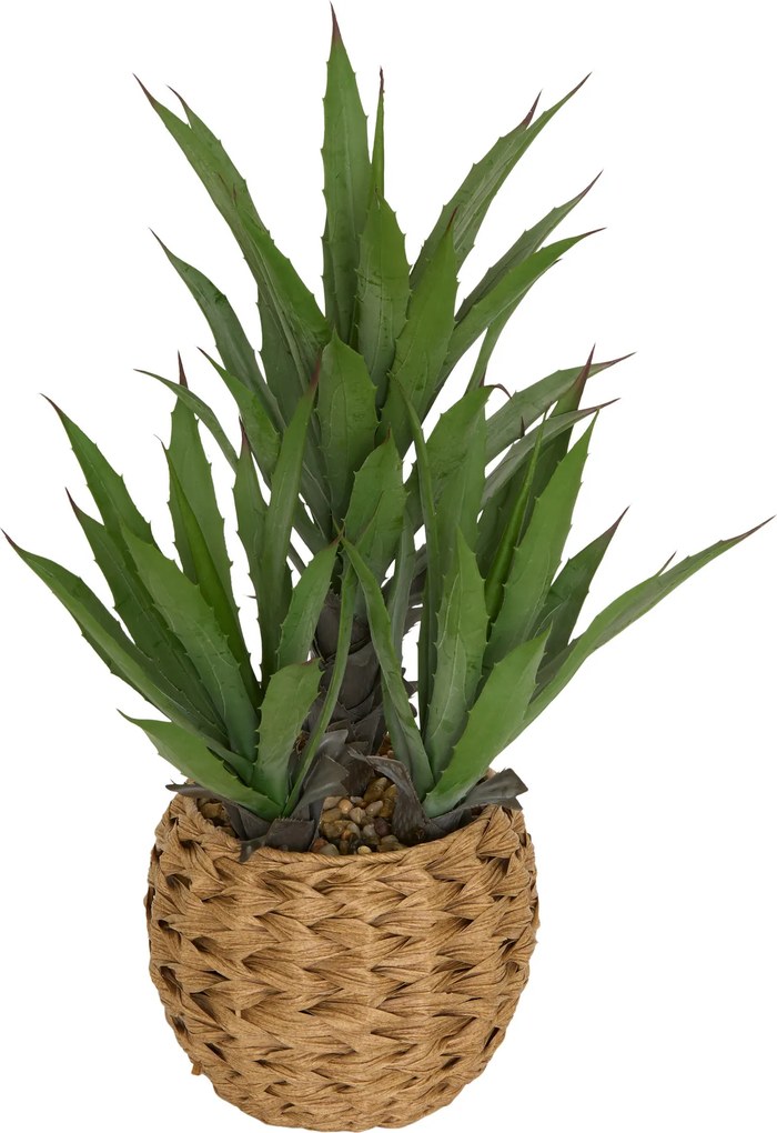 Umělá agáve MODA v pleteném květináči, v. 61 cm