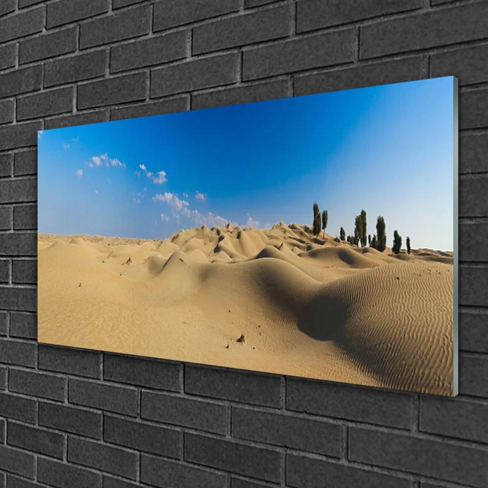 Obraz na skle Poušť Krajina 120x60 cm
