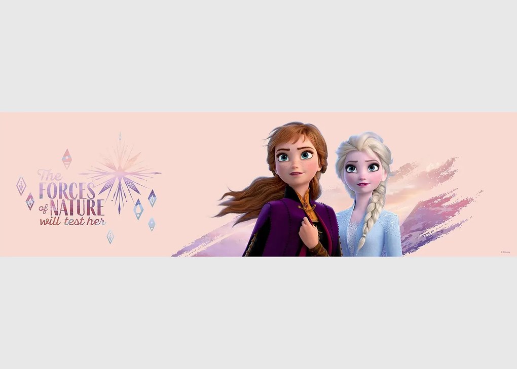 Dětská samolepící bordura na zeď Sestry z Ledového Království, Disney | 5 m x 13.8 cm | DWBD8111