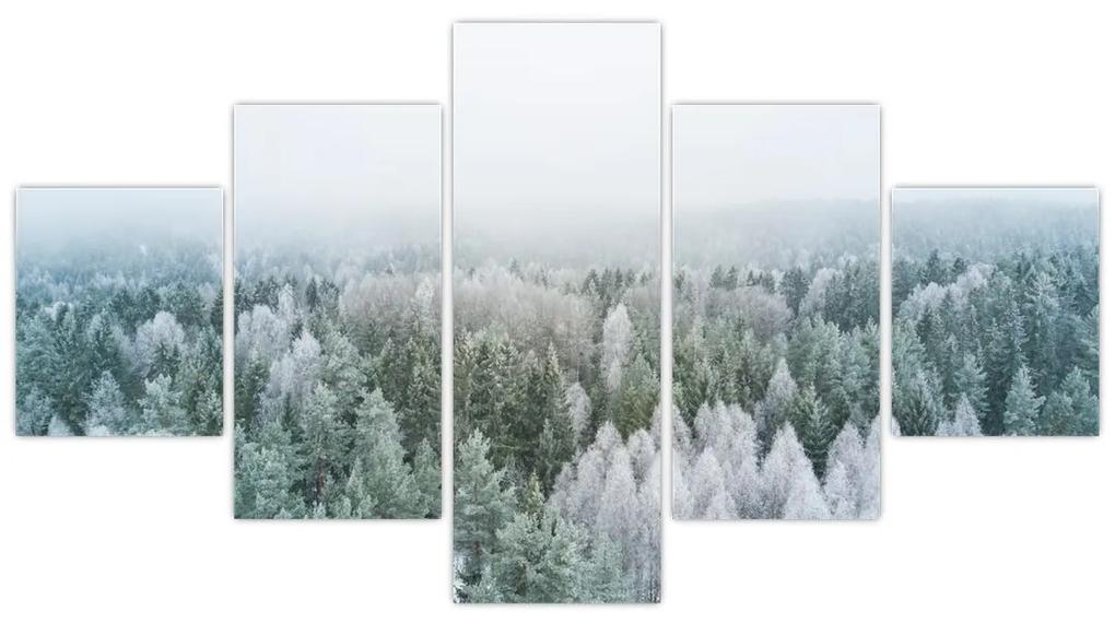 Obraz - Zasněžené vrcholky lesů (125x70 cm)