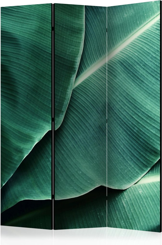 Artgeist Paraván - Banana Leaf [Room Dividers] 135x172