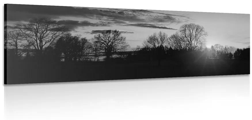 Obraz nádherný západ slunce v černobílém provedení Varianta: 120x40