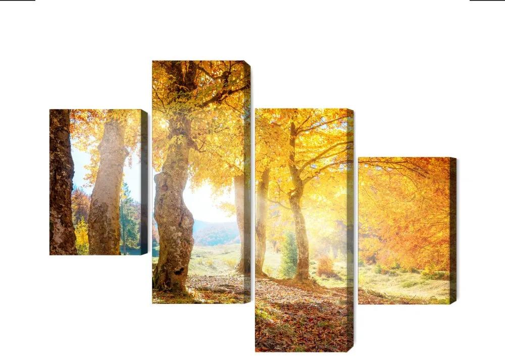 Vícedílný obraz Slunečný Podzimní Les Nedostatek Nedostatek Přírodní plátno 160x100