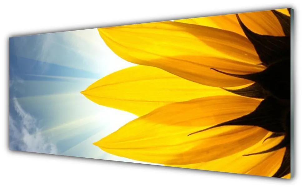 akrylový obraz Plátky Rostlina 125x50 cm