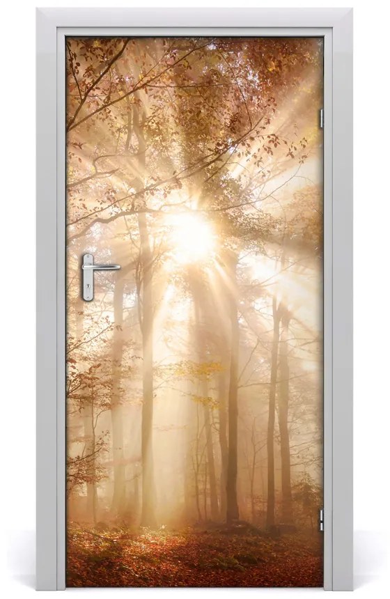 Fototapeta na dveře samolepící les podzim 85x205 cm