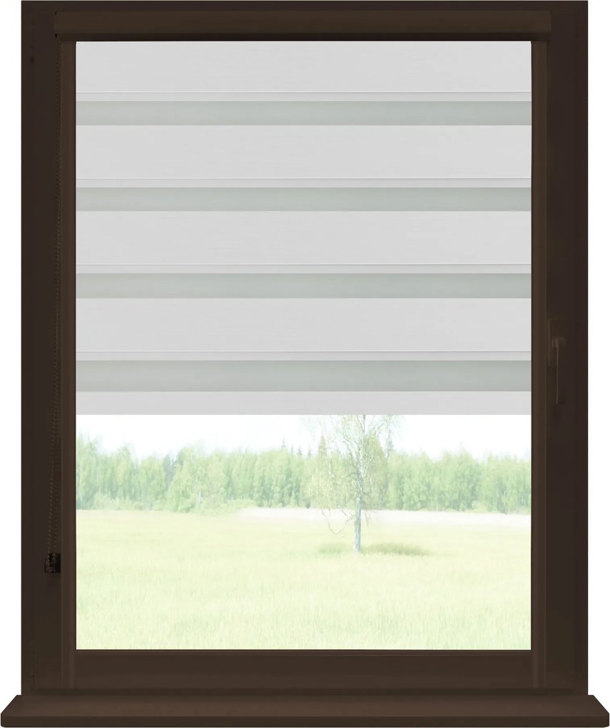 Dekodum Roleta den a noc v hnědé kazetě zatemňovací, barva látky Platinová Šířka (cm): 47, Výška (cm): Standardní (do 150 cm), Strana mechanismu: Levá