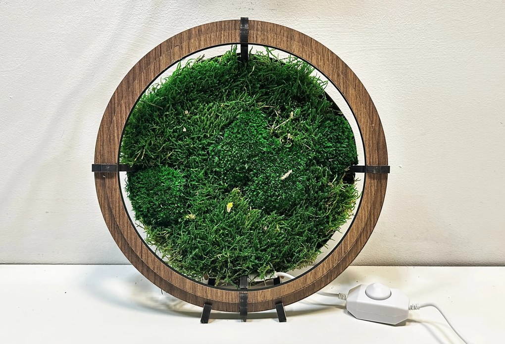 Li-Go "Mechové kopečky" lampa/obraz 31 cm provedení povrchu: dub světlý