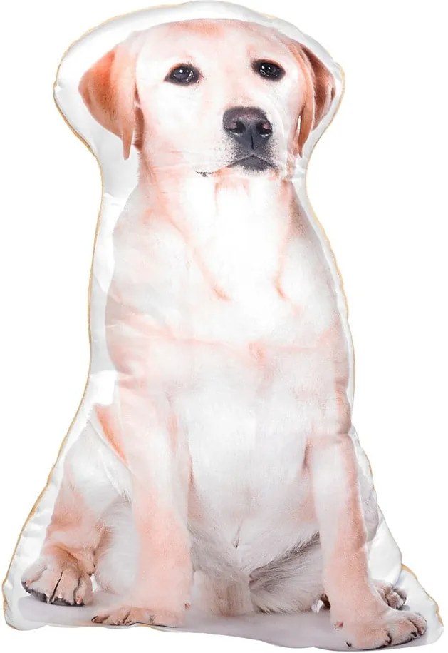 Polštářek s potiskem Zlatého labradora Adorable Cushions