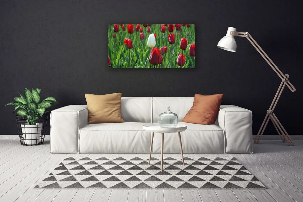 Obraz na plátně Tulipány Květiny Příroda 140x70 cm